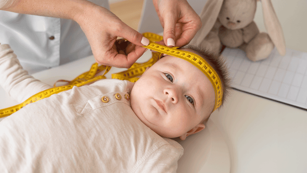 Average Head Circumference of a Baby by Age: A Growth Guide for Parent ...