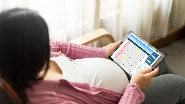 Fundal Height in Pregnancy: Easy Guide | Baby Forest